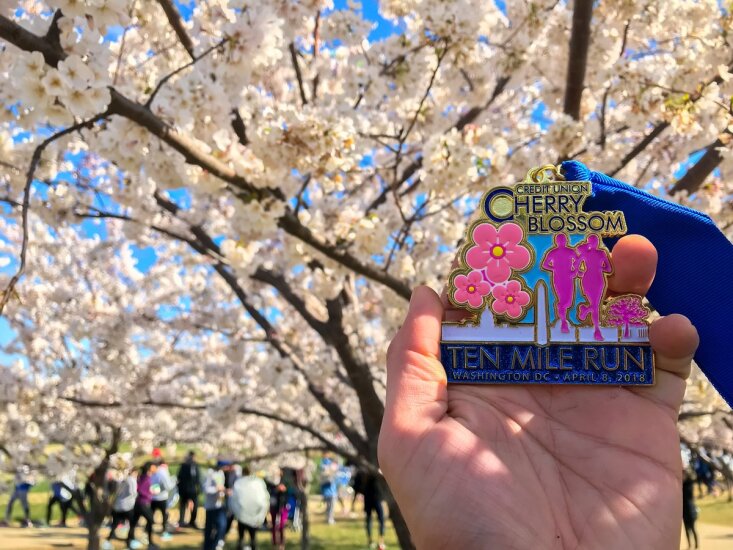 Paul Huggins - Portfolio