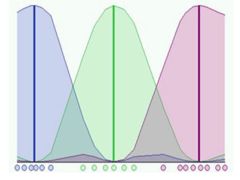 Paul Huggins - Portfolio